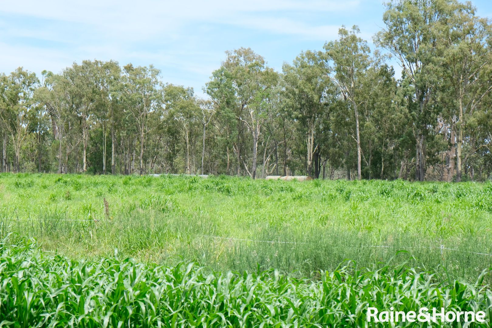 Monto QLD 4630 - Specialist Farm for Sale - $3,500,000 | Domain