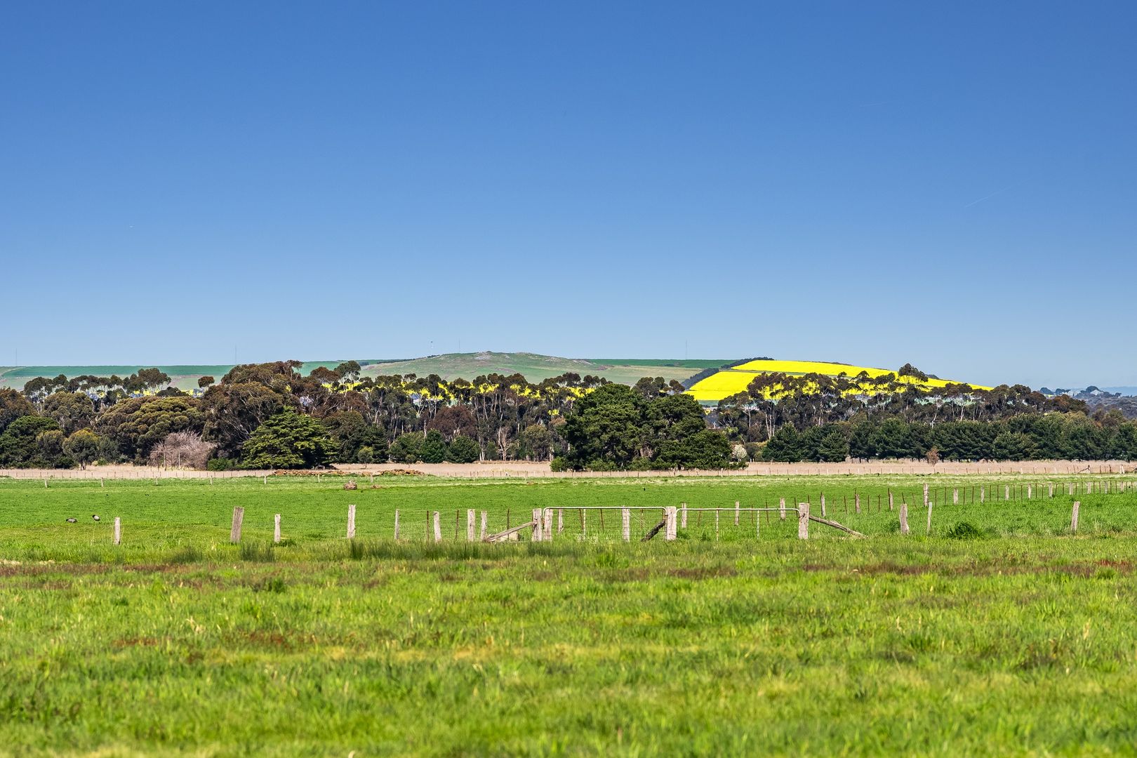 100-84 Faulkner Road, Inverleigh, Inverleigh VIC 3321 | Domain