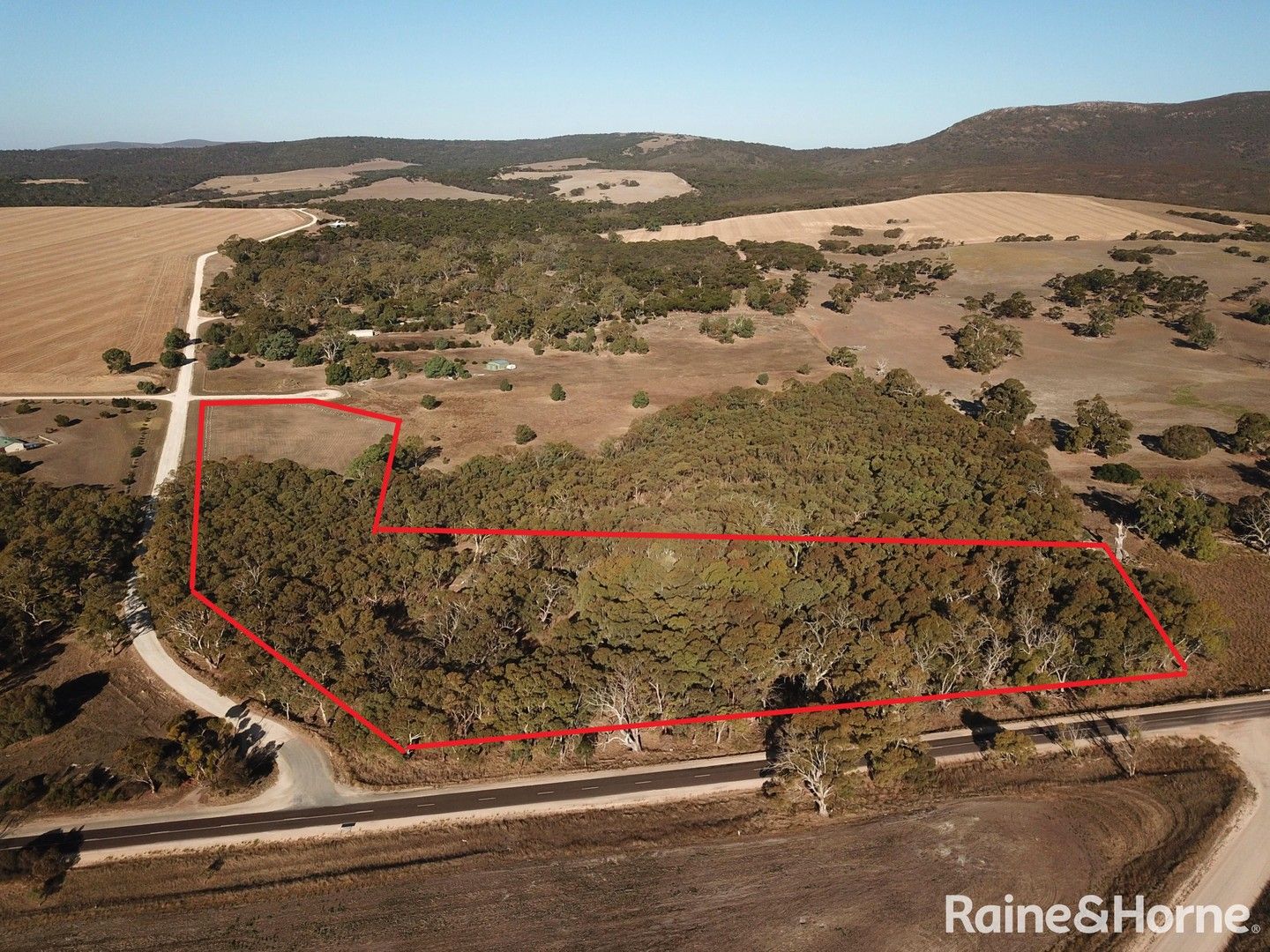 Lot 106 Wallace Court, Coulta SA 5607 | Domain