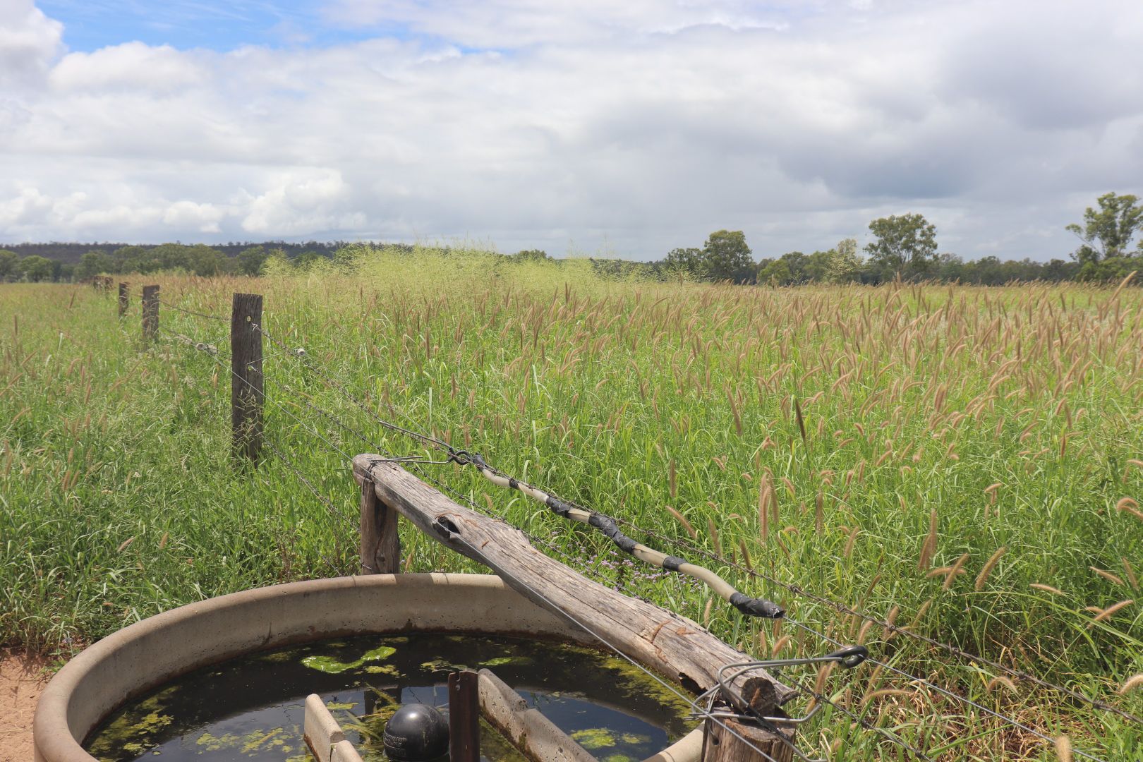 2097 Coonambula Road, Mundubbera QLD 4626 - House for Sale | Domain
