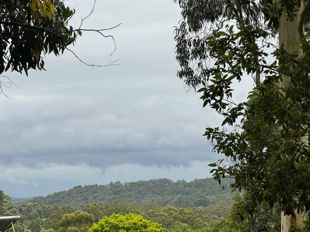 2 Doery Street, Emerald VIC 3782 | Domain