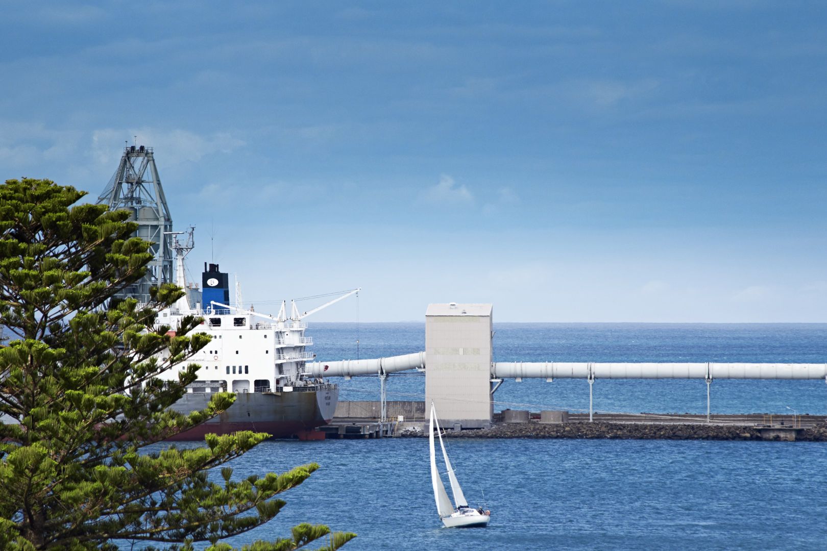 60 Percy Street, Portland VIC 3305 - Apartment For Rent | Domain