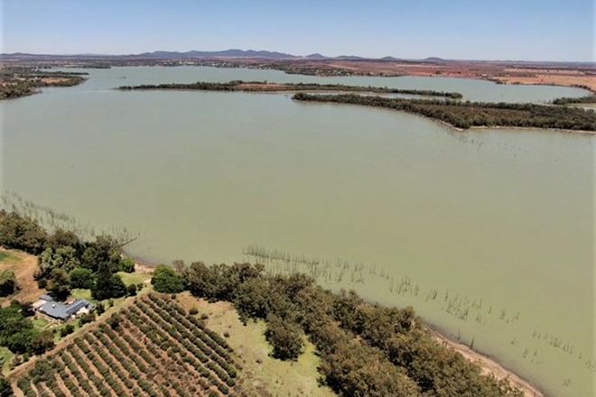 144 Real Estate Properties for Sale in Lake Cargelligo, NSW, 2672 | Domain