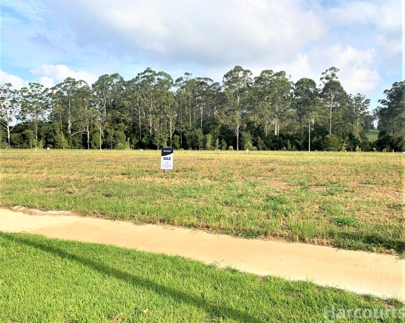 10 Commander Street, Port Macquarie NSW 2444 | Domain