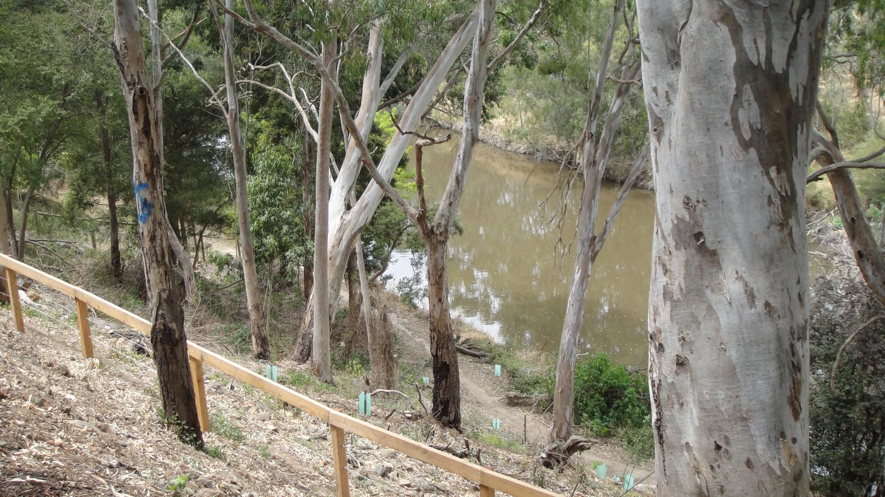 9 Rex Avenue, Alphington VIC 3078 | Domain