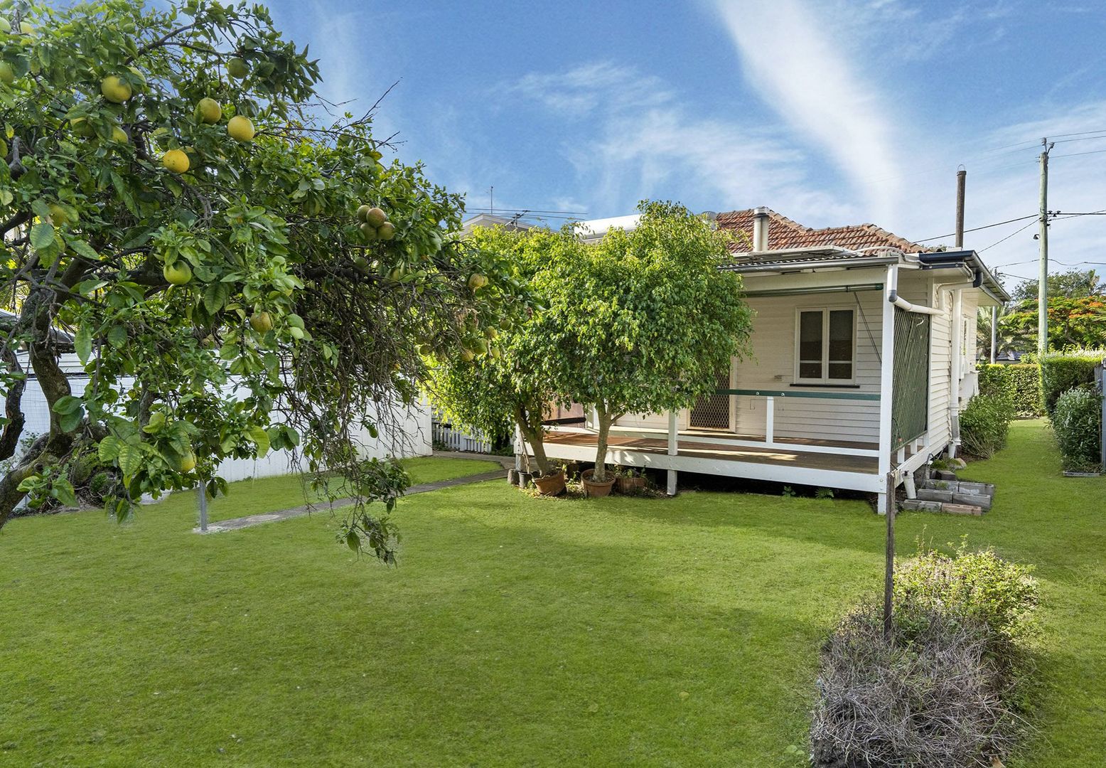 26 Orlando Road, Yeronga QLD 4104 | Domain