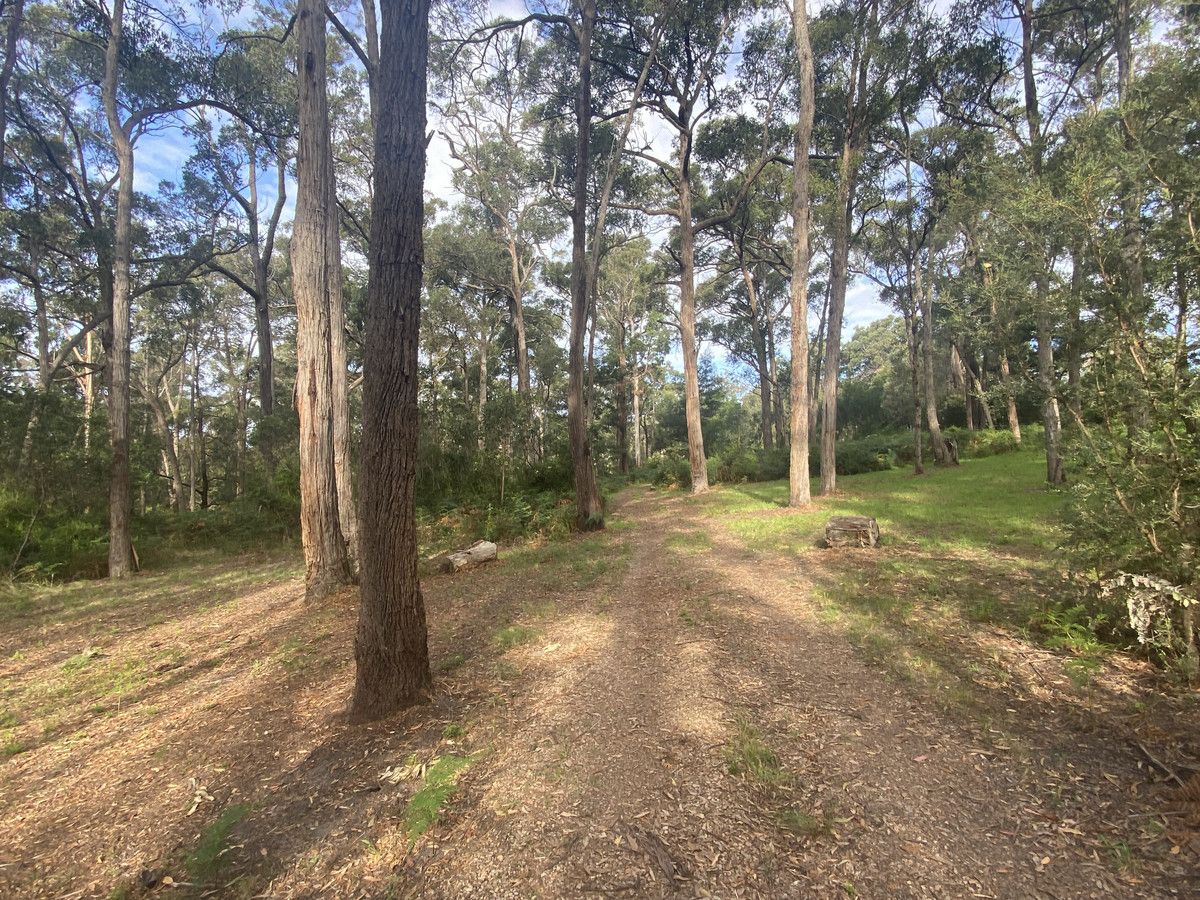 24D Mill Point Road, Toorloo Arm VIC 3909 | Domain