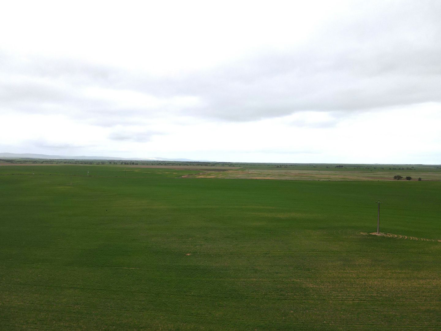 Lot 99 Spencer Highway, Clements Gap SA 5523 - House for Sale - $3,100,000