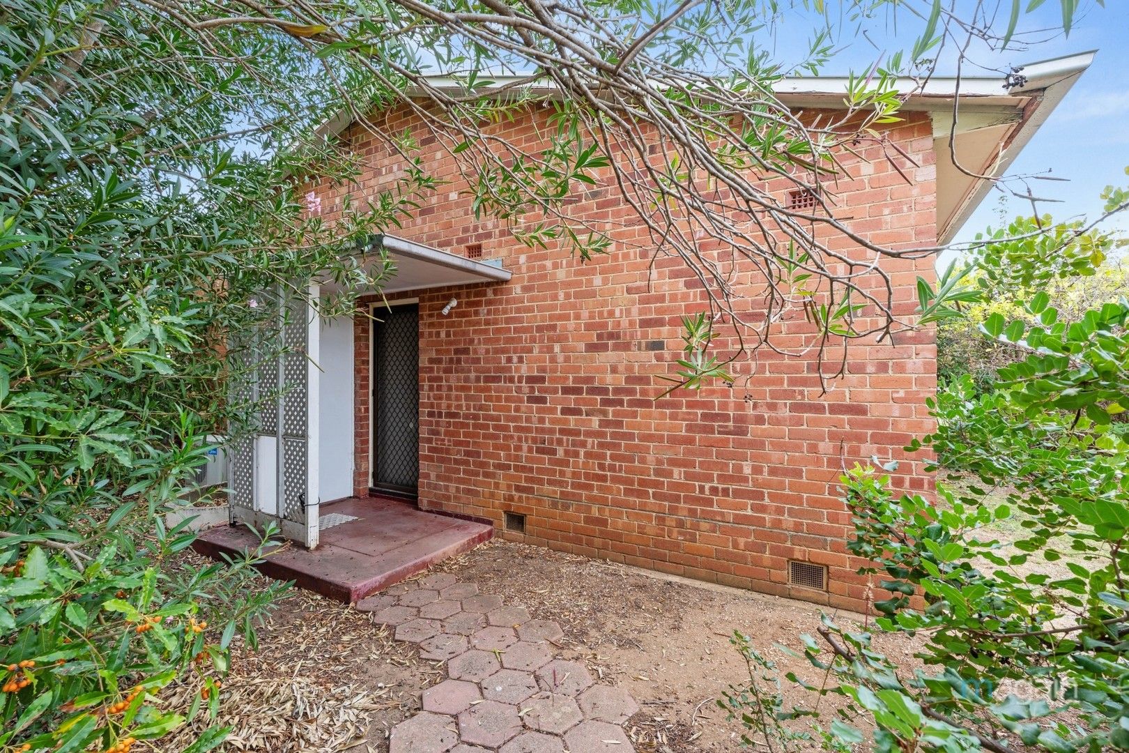 35 Harris Street, Edwardstown SA 5039 - House For Rent | Domain