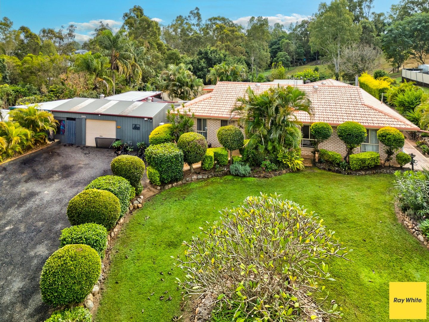 111 Burns Street, Fernvale QLD 4306 | Domain