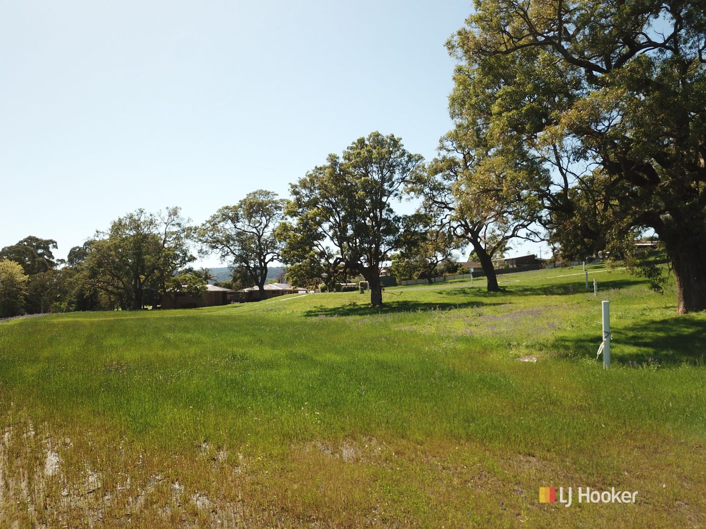 3 Sea Lace Place, Bega NSW 2550 | Domain