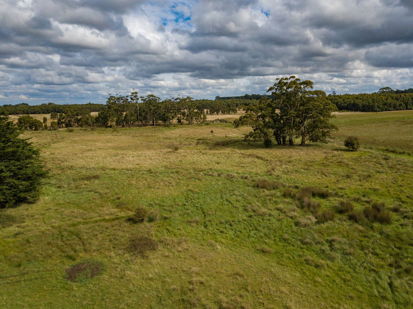 434 Ormond Road, Springbank VIC 3352 - House for Sale | Domain