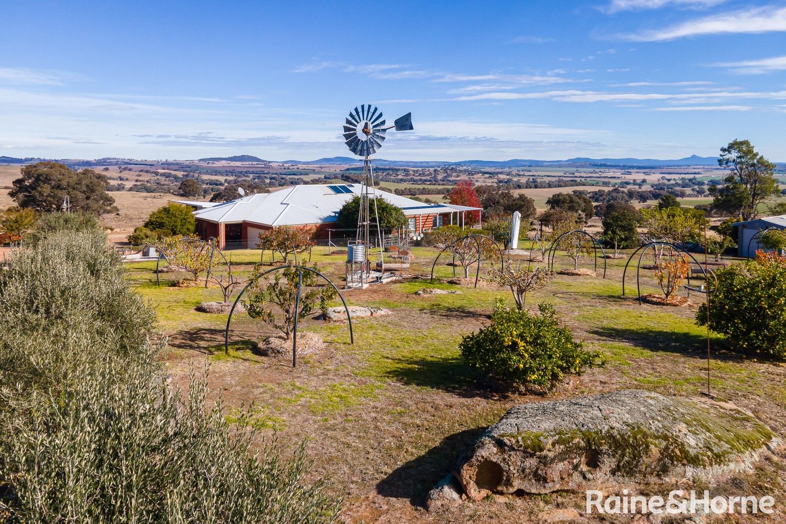 6054 Holbrook Road, Maxwell NSW 2650 | Domain