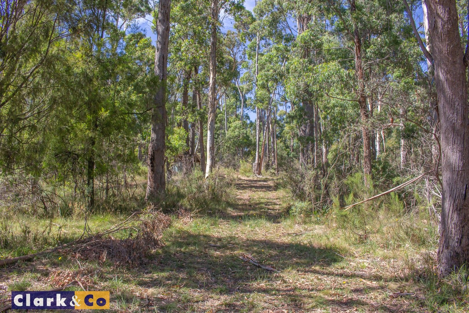 2736 Mansfield-Whitfield Road, Tolmie VIC 3723 - Vacant Land for Sale