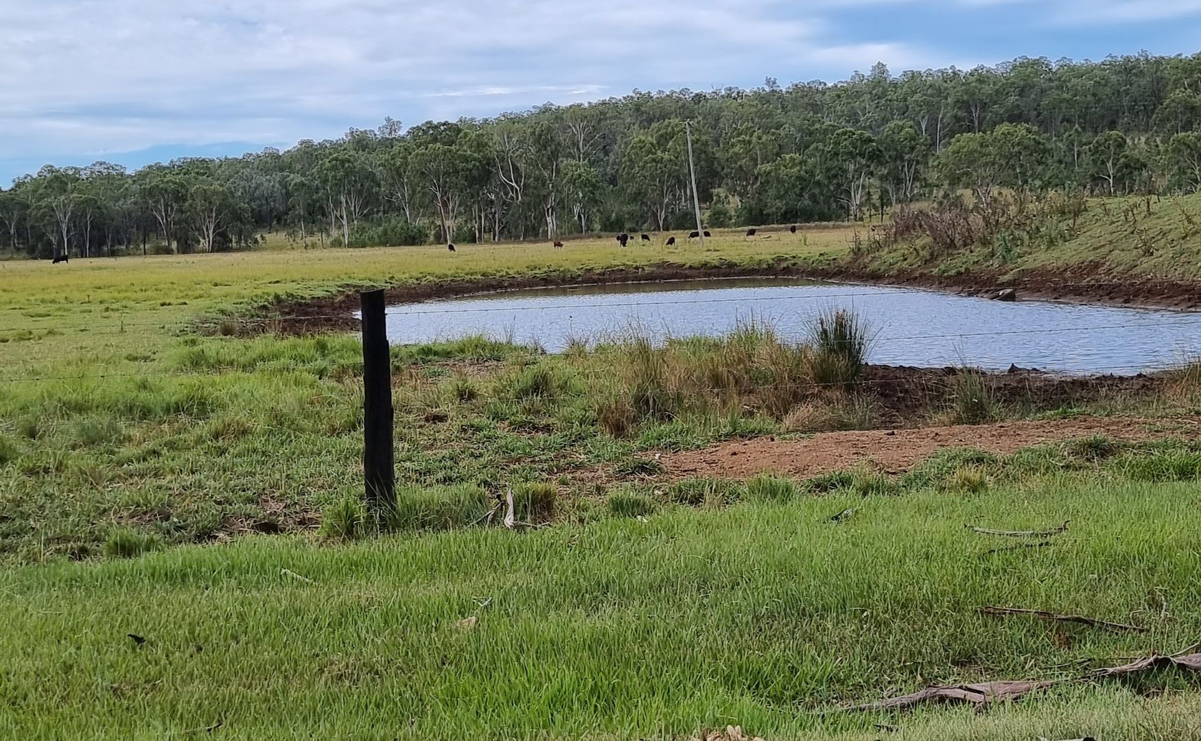 1171 Booie Crawford Road, Booie QLD 4610 - Farm for Sale - $800,000