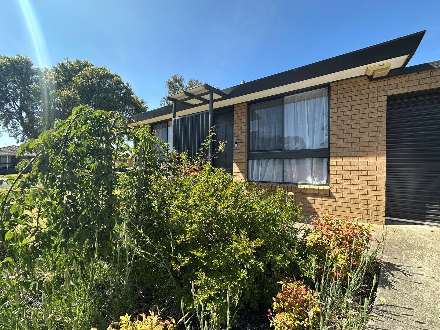 1/24 Bieske Road, Grovedale VIC 3216 - Apartment For Rent - $440 | Domain