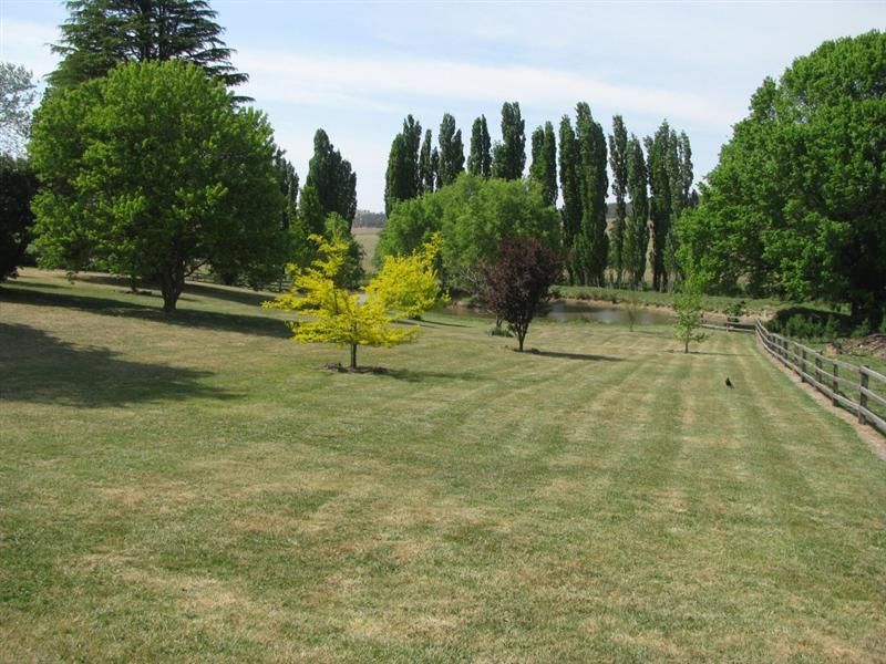 152 Ohio North Road, Walcha | Property History & Address Research | Domain