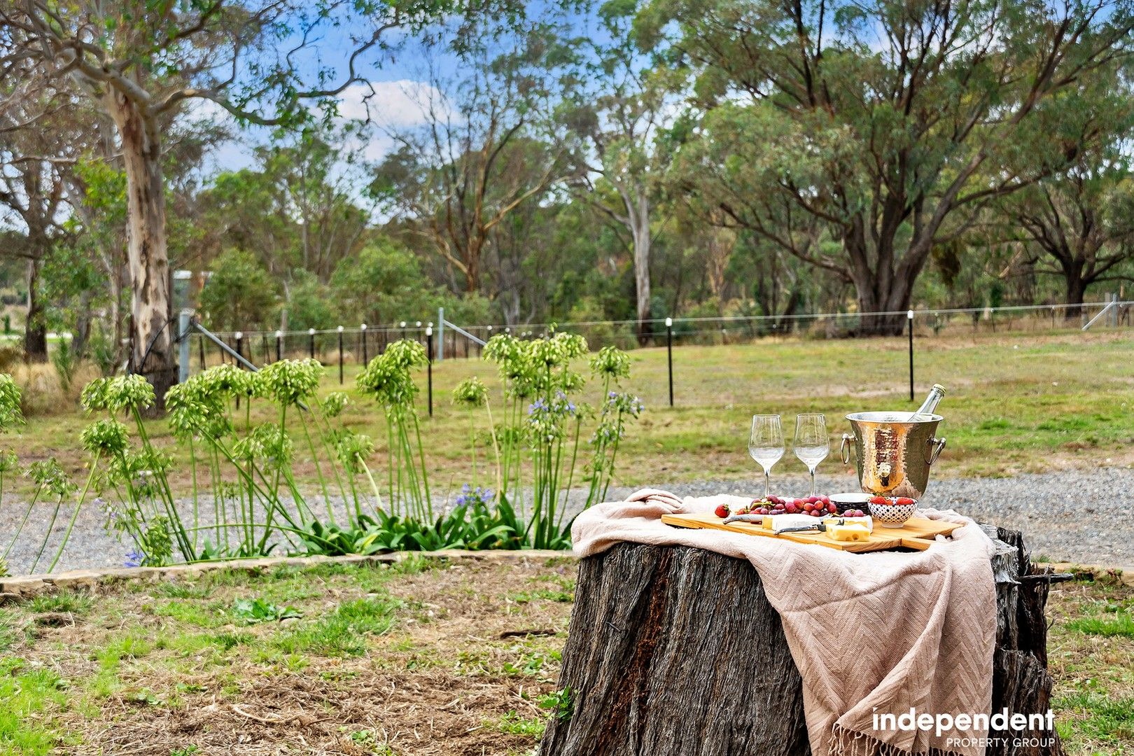 63 Old Gold Mines Road, Sutton NSW 2620 | Domain