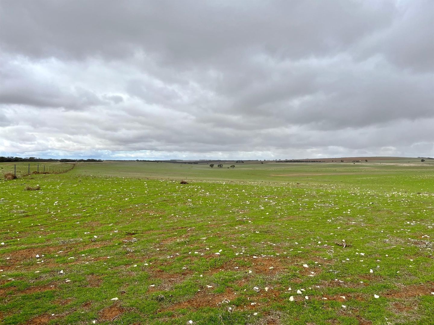 Allotment 5 Cockshell Road, Bowhill SA 5238 - Farm for Sale - $249,000