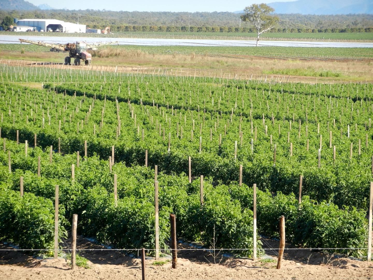 490 Pretty Bend Road, Bowen | Property History & Address Research | Domain