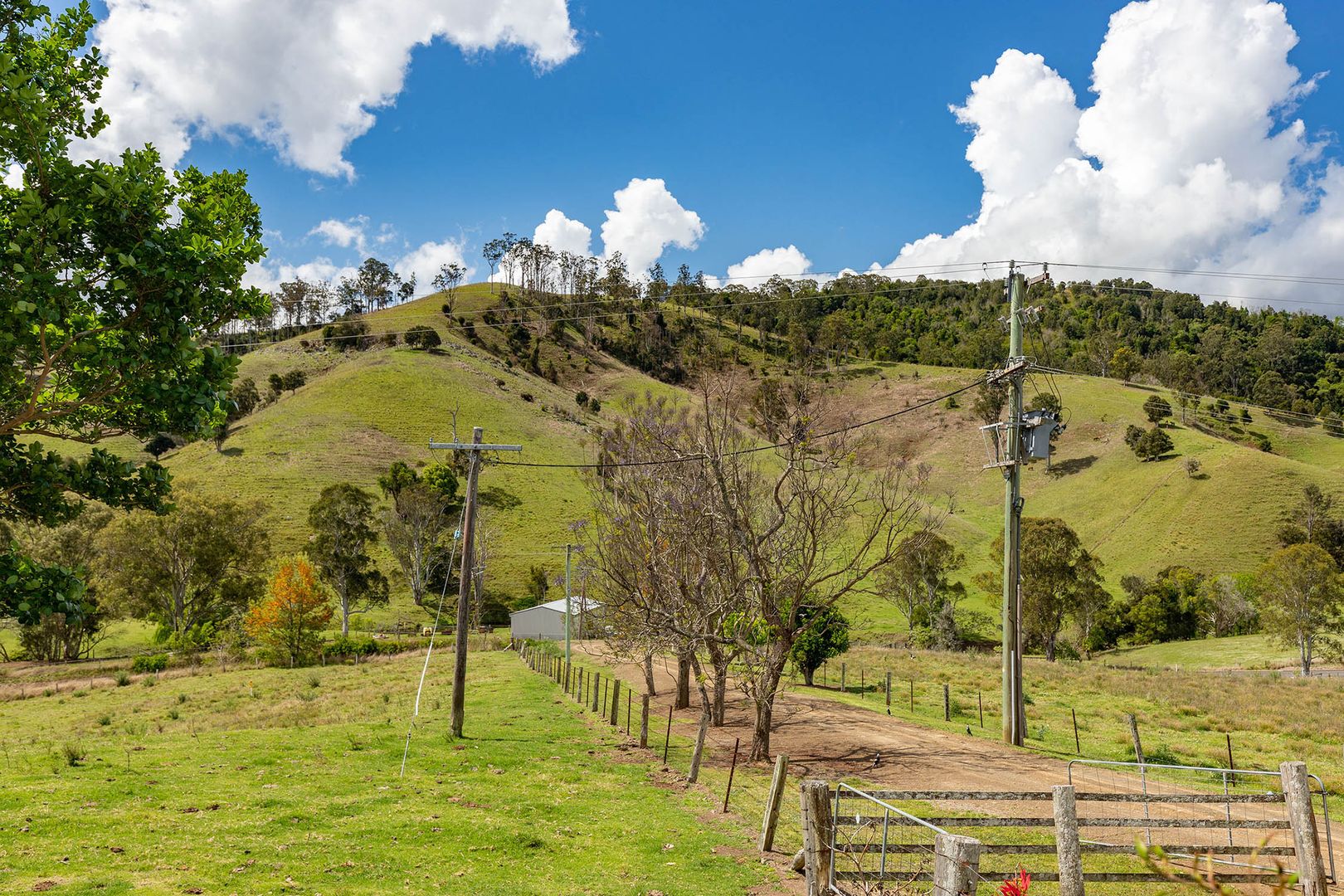 1320 Bucketts Way East, Gloucester NSW 2422 - House for Sale | Domain