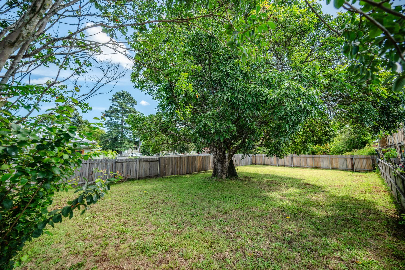23 Halpins Lane, Bellingen NSW 2454 | Domain