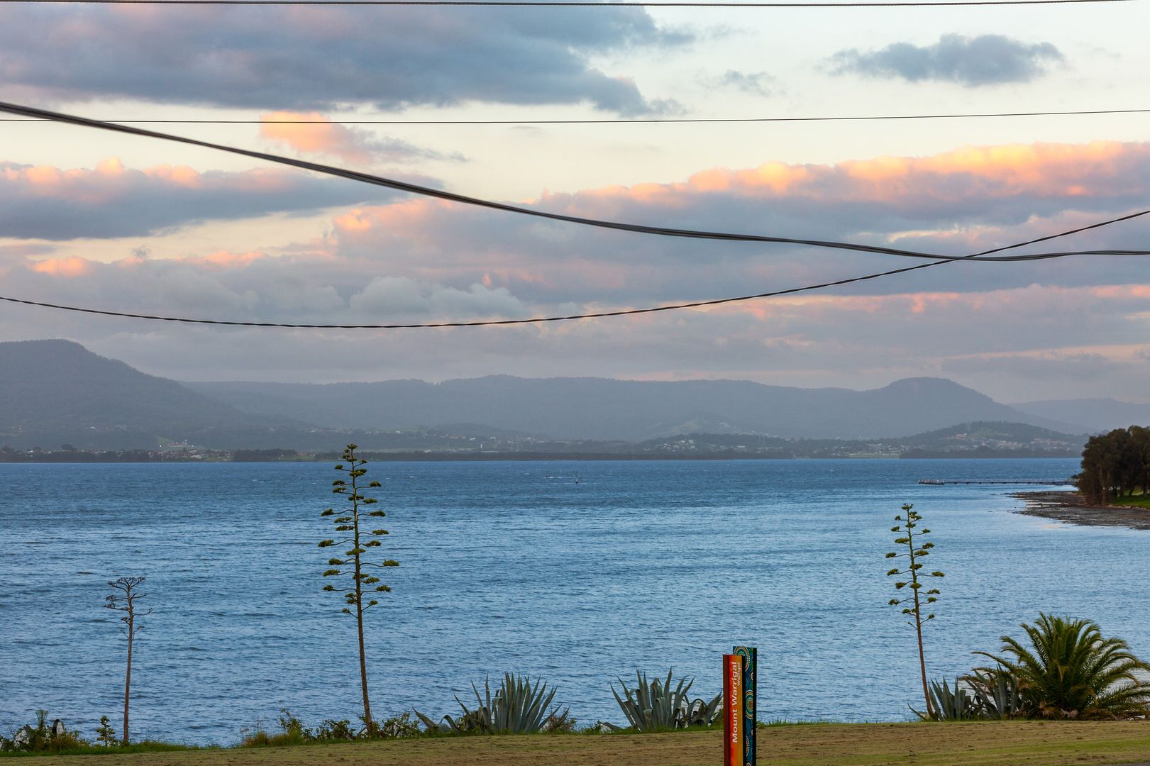 423 Reddall Parade, Mount Warrigal NSW 2528 | Domain