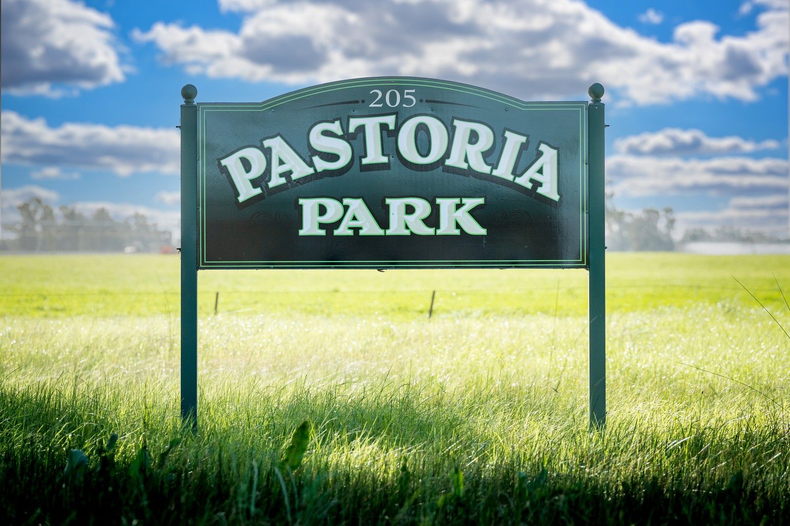 205 Balldale Road, Hopefield NSW 2646 - Specialist Farm for Sale