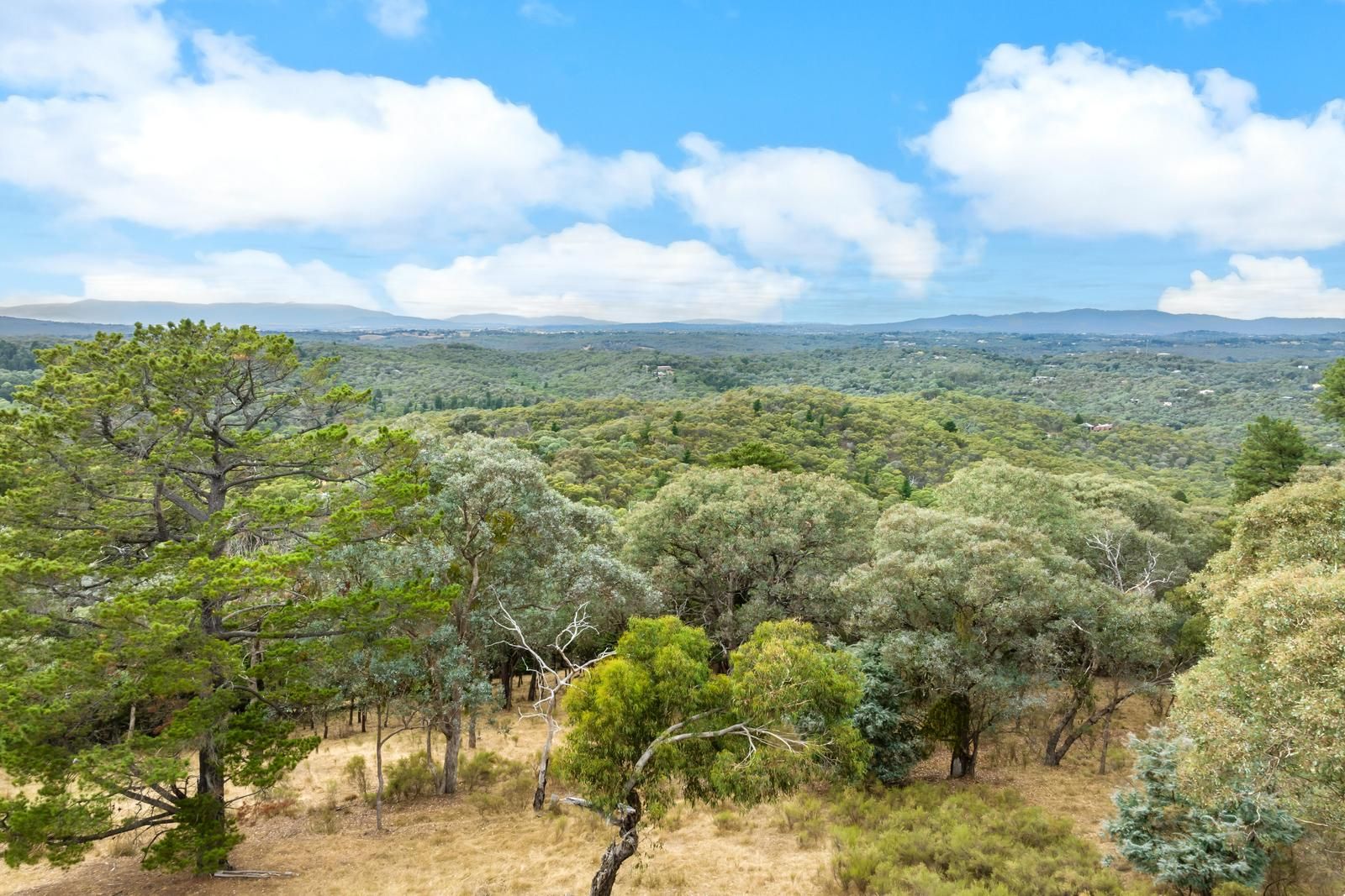 61 Research Warrandyte Road, North Warrandyte VIC 3113 | Domain