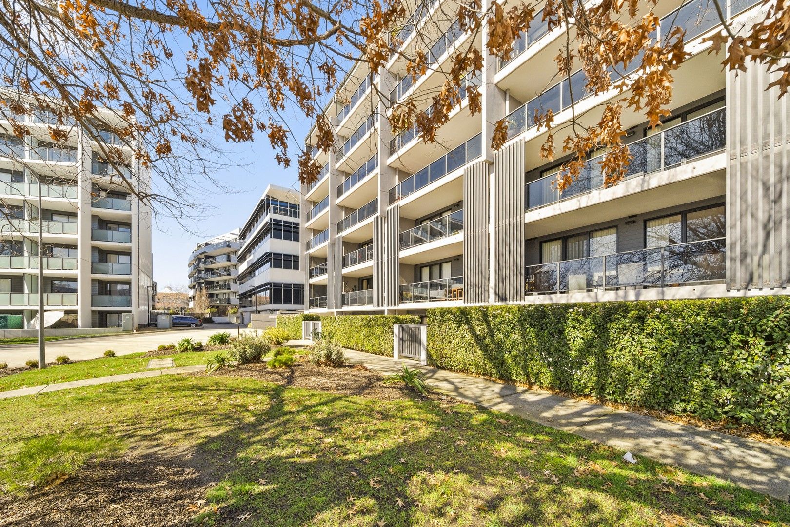 3/111 Canberra Avenue, Griffith ACT 2603 | Domain