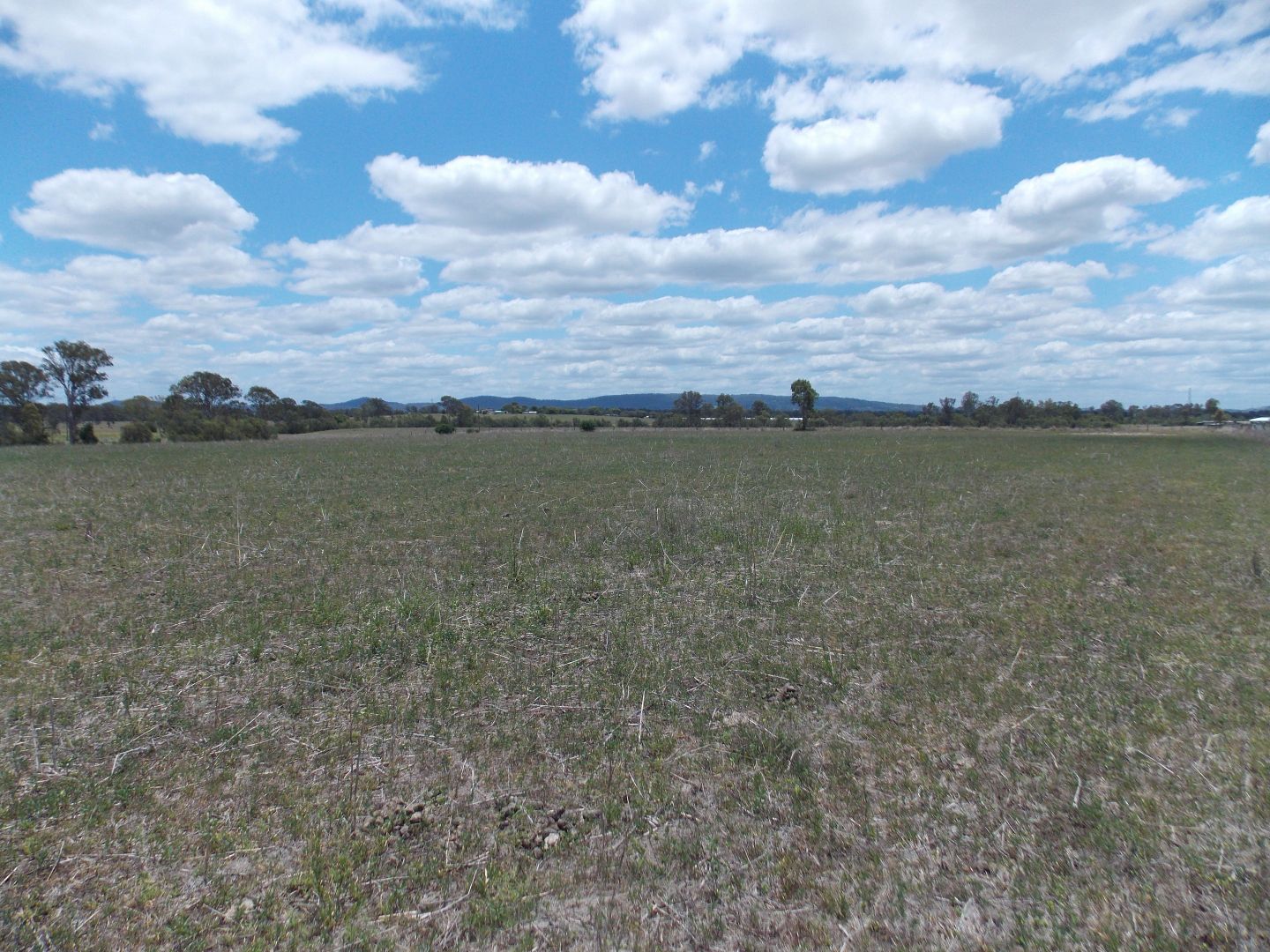 931-983 Rosewood - Warrill View Road, Lower Mount Walker | Property ...