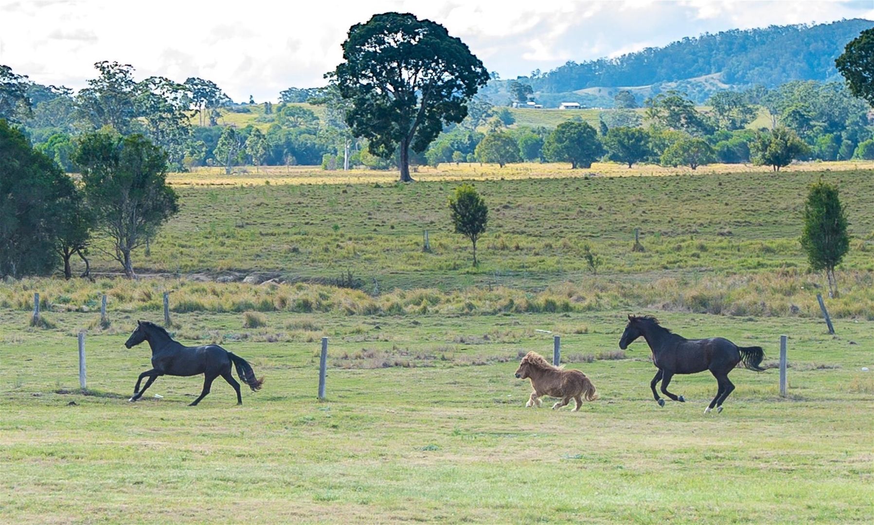 Sold 2589 Old Bruce Highway, Tuchekoi QLD 4570 on 03 Apr 2020 ...