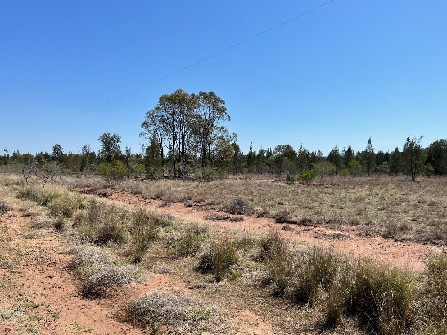 58 Forestry Road, Weranga QLD 4405 - House for Sale | Domain