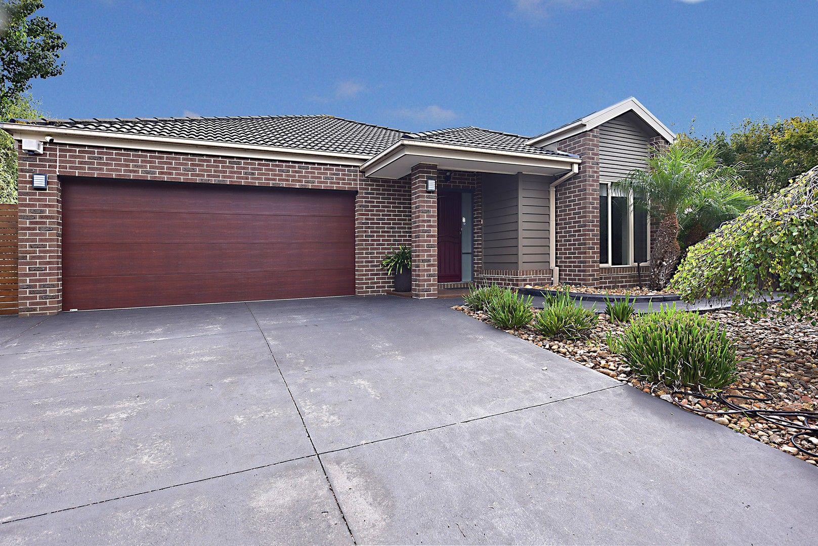 11 Odwyer Street, Mordialloc VIC 3195 - House For Rent | Domain