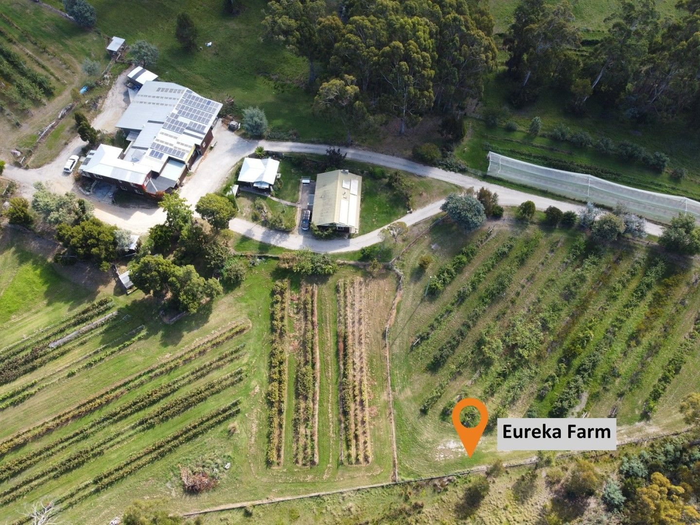 89 Upper Scamander Road, Scamander TAS 7215 - House for Sale | Domain