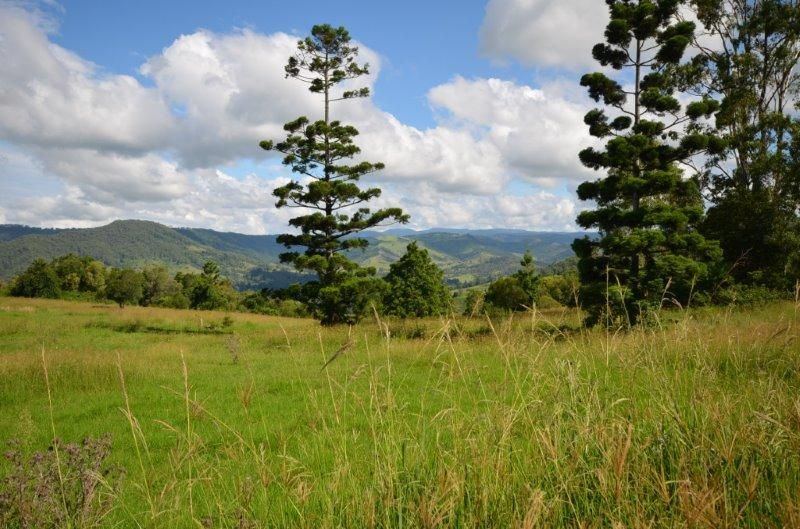 Sold 10 DARLINGTON RANGE ROAD, WITHEREN QLD 4275 on 10 Aug 2021 ...