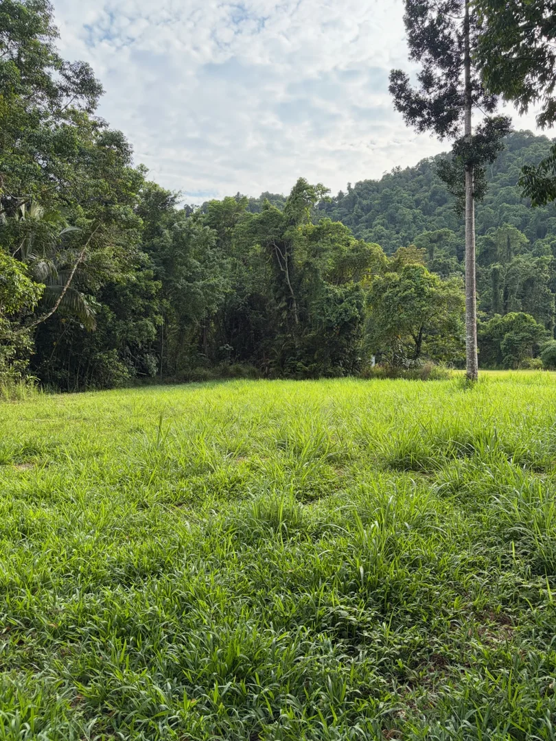 252 Jackson Road, Shell Pocket QLD 4855 - House for Sale - $1,200,000