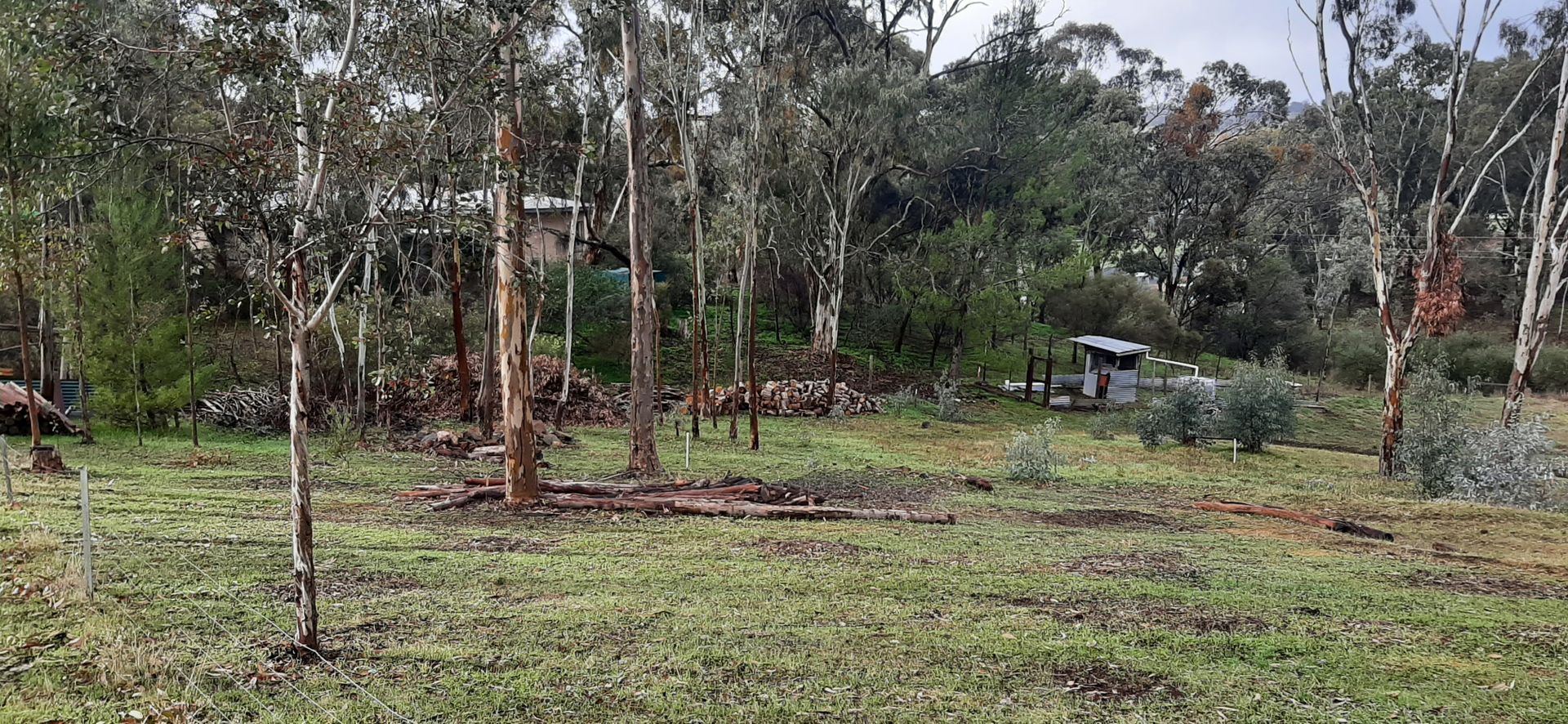 Lots 3+4 William Street North, Armagh SA 5453 | Domain