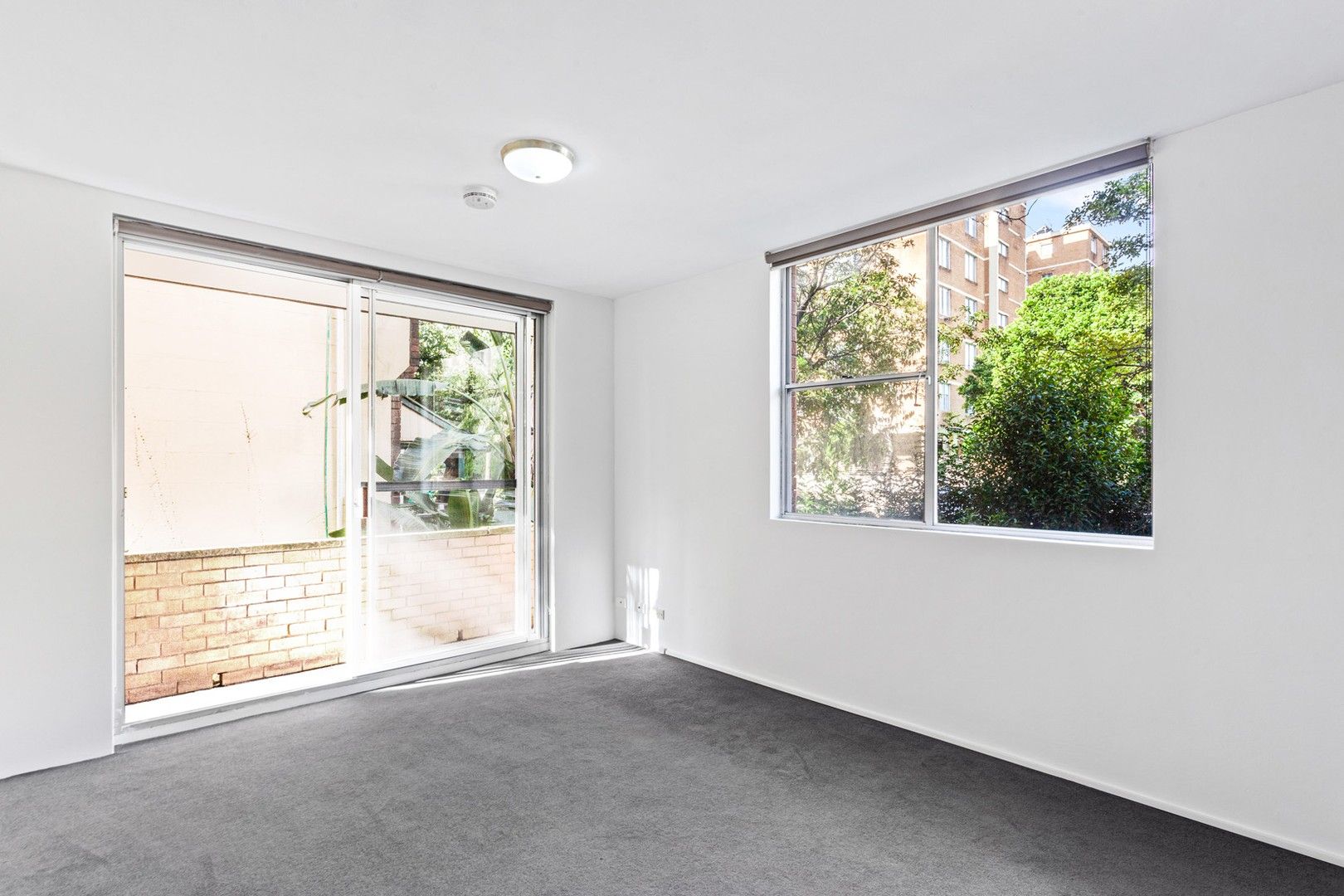 368/58 Cook Road, Centennial Park NSW 2021 - Apartment For Rent | Domain