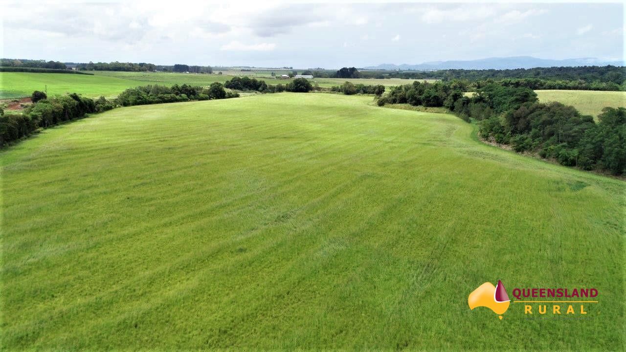 East Barron QLD 4883 - Specialist Farm for Sale | Domain