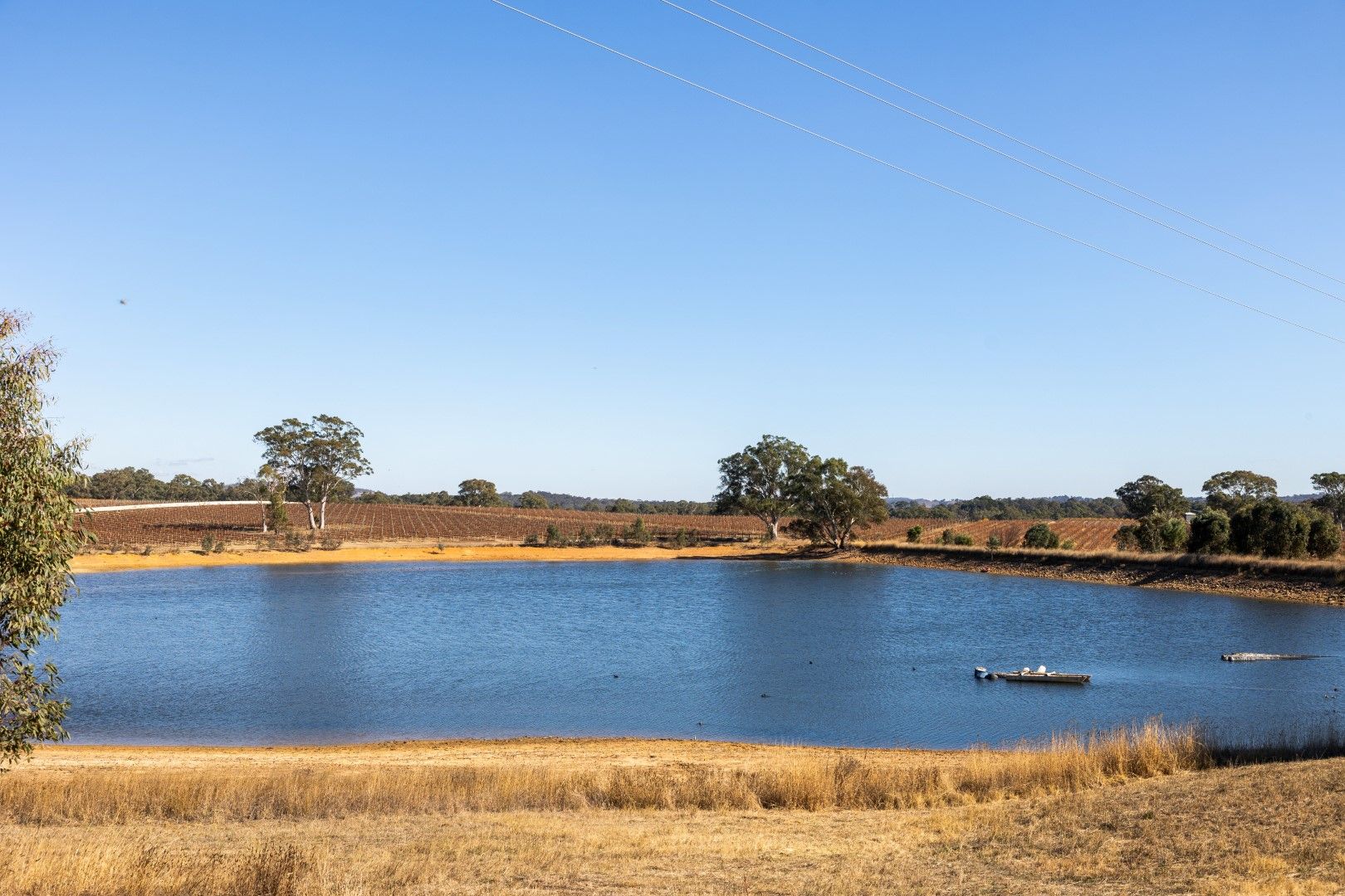 1282 Torrens Valley Road, Birdwood SA 5234 - Viticulture Property for Sale