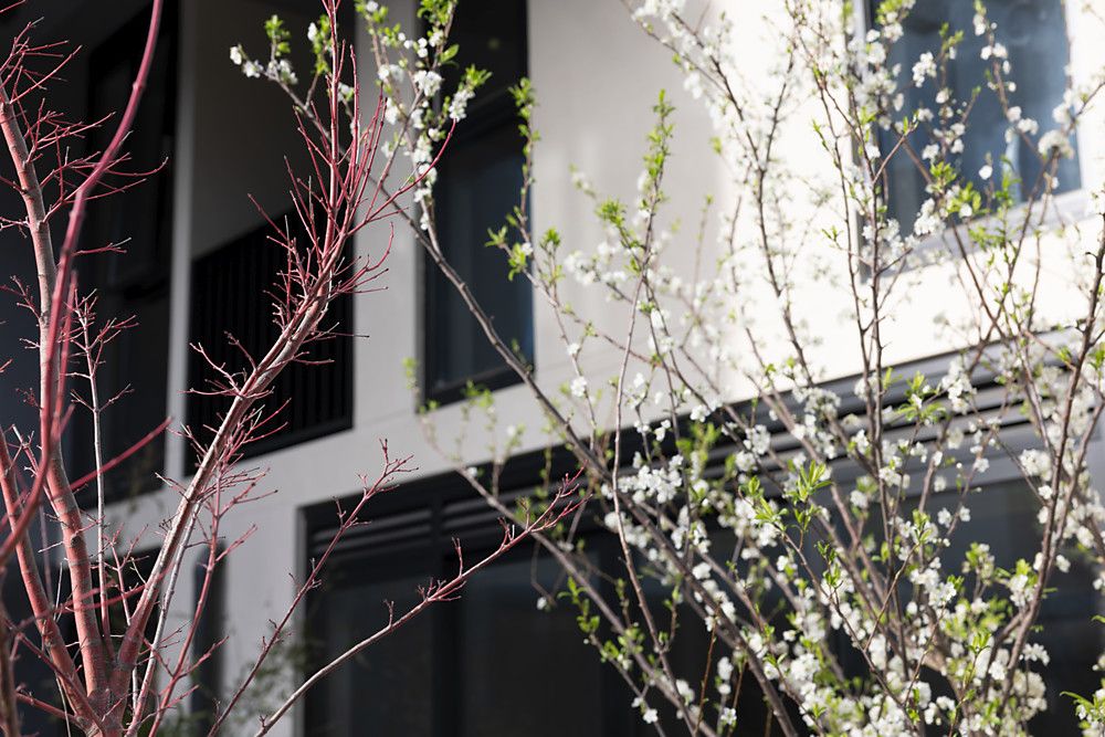 G16/4 Barenya Court, Kew VIC 3101 - Townhouse For Rent | Domain