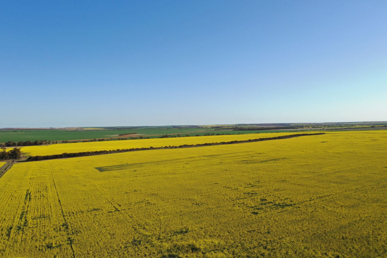 Kalannie WA 6468 - House for Sale | Domain