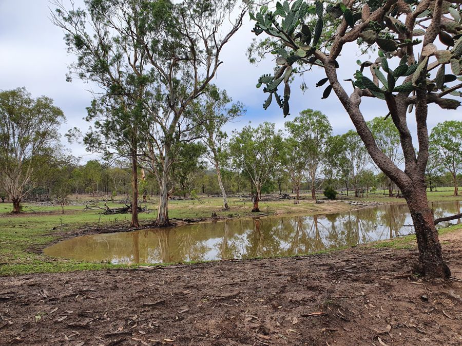 3395 Kingaroy - Cooyar Road, Tarong | Property History & Address ...