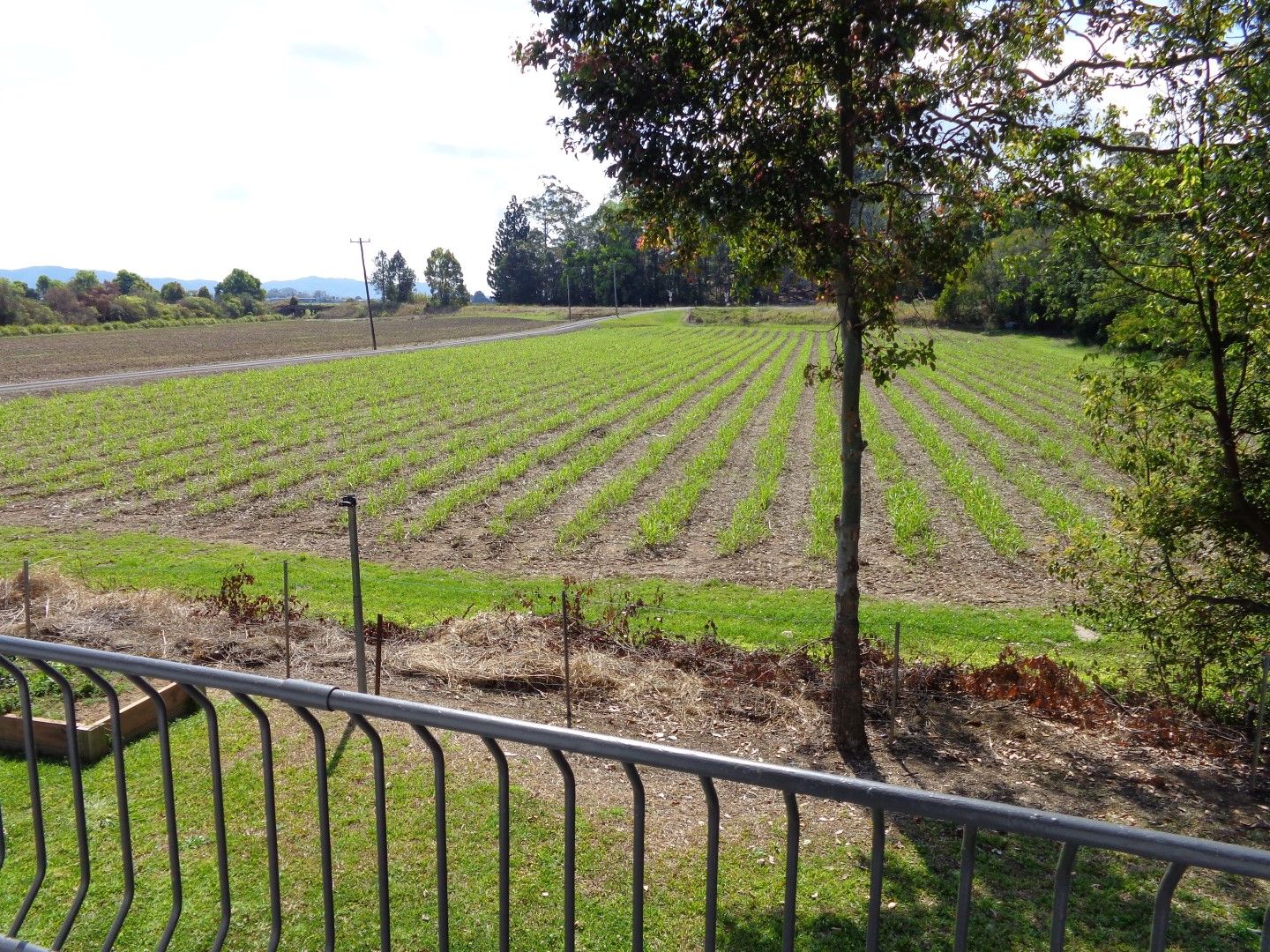 Tweed Valley Way, South Murwillumbah NSW 2484 - 4 beds house for Rent ...