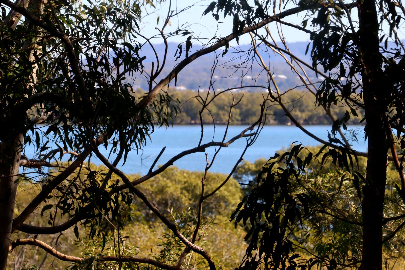 128 Laurel Street, Russell Island QLD 4184 | Domain