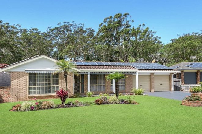 144 Real Estate Properties for Sale in Dunbogan, NSW, 2443 | Domain
