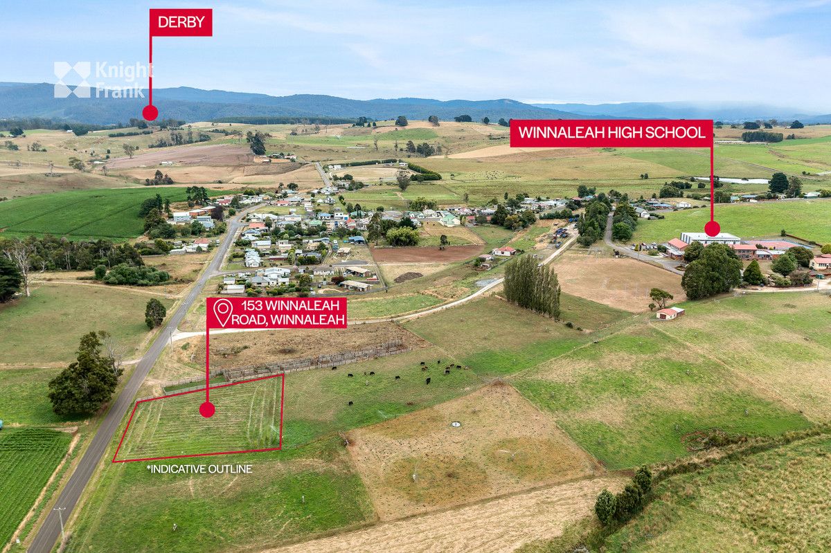 53 Winnaleah Road, Winnaleah TAS 7265 | Domain