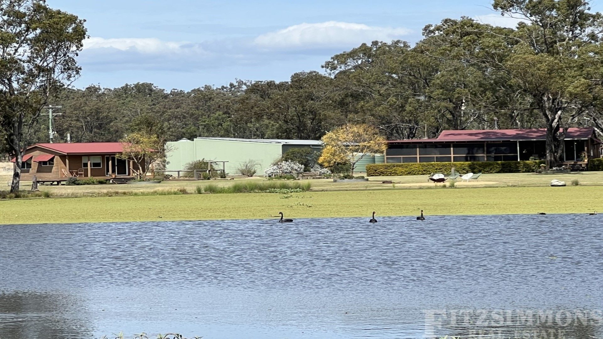 966 Wilkins Road, Cecil Plains QLD 4407 - House for Sale | Domain