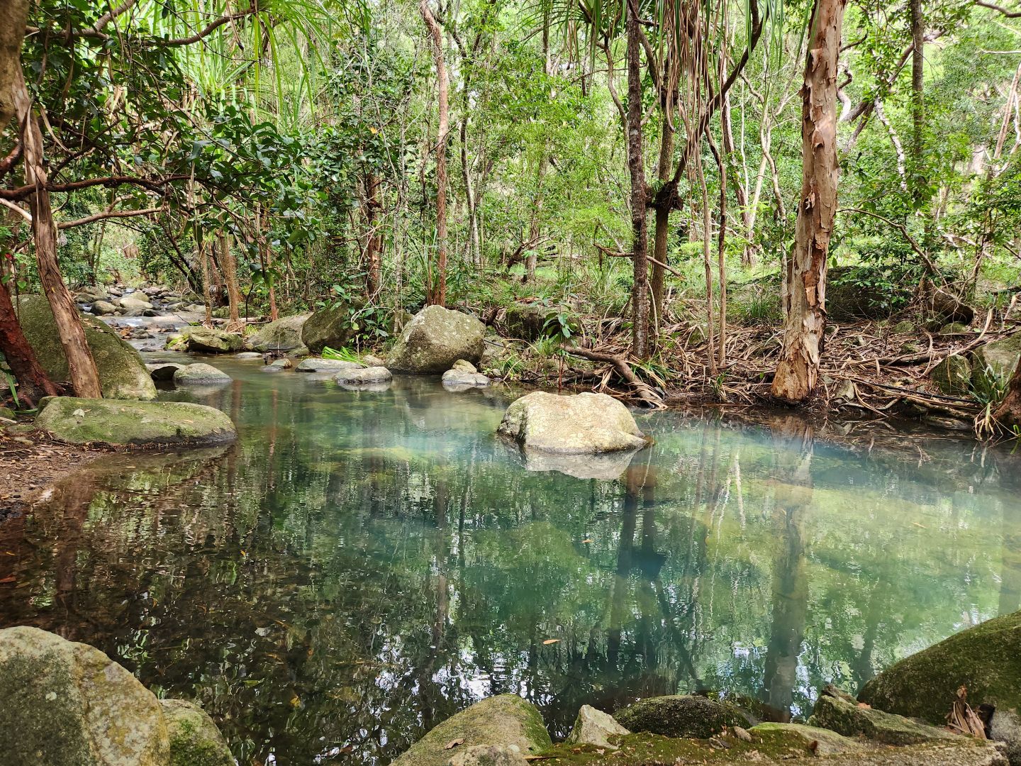 7 McCrae Street, East Trinity QLD 4871 | Domain